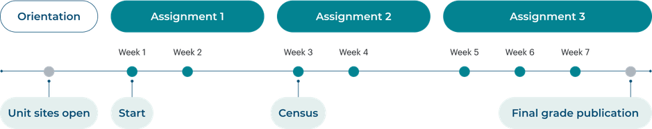 Graduate Diploma of Mental Health Nursing | SCU Online